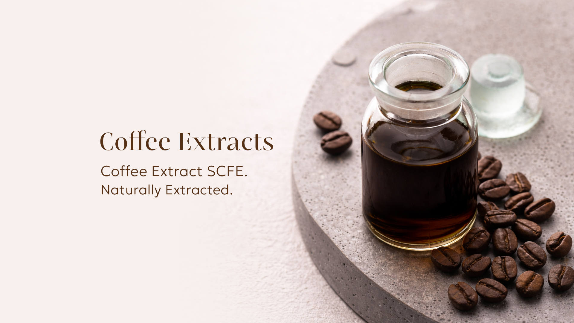 Supercritical Fluid Extraction Coffee Extracts for fragrance manufacturers